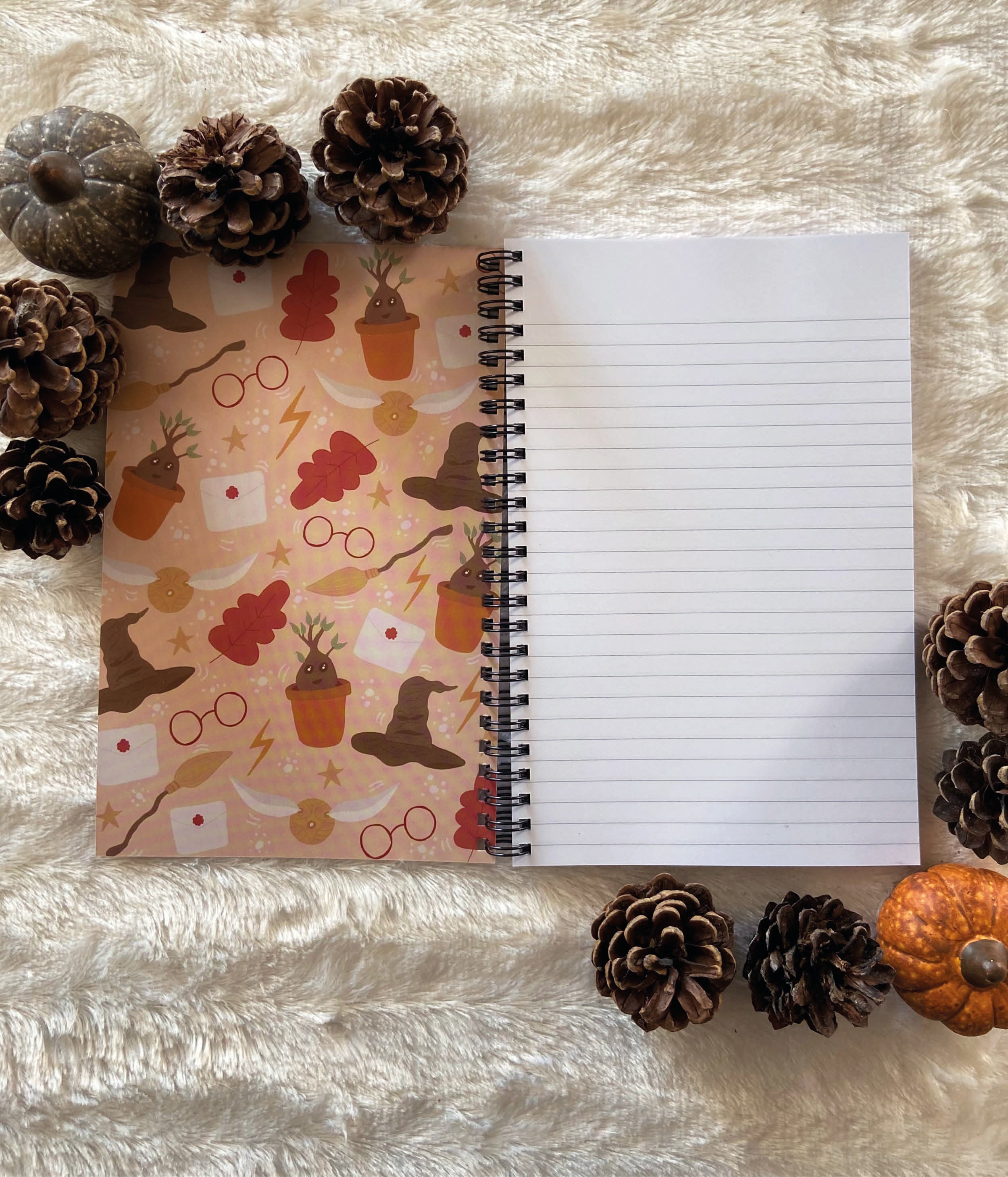 Carnet Harry Potter – Le cottage de Juliette
